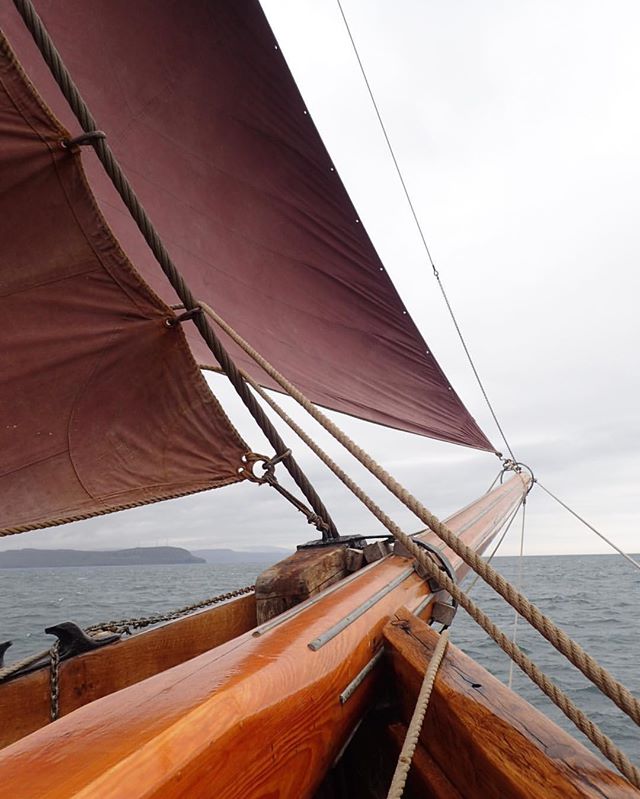 The Johanna TG326 #TheClippertonProject – Tracey M Benson || Bytetime